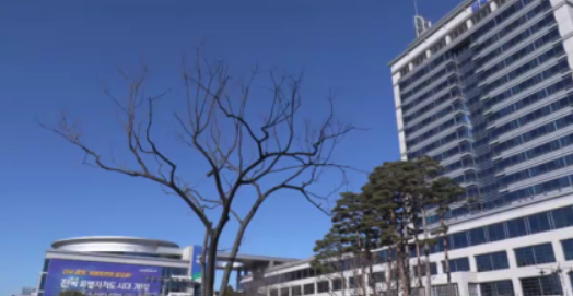 전북도, 탄소산업 5개년 계획 확정